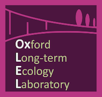 GPP7: Betula glandulosa - Global Pollen Project